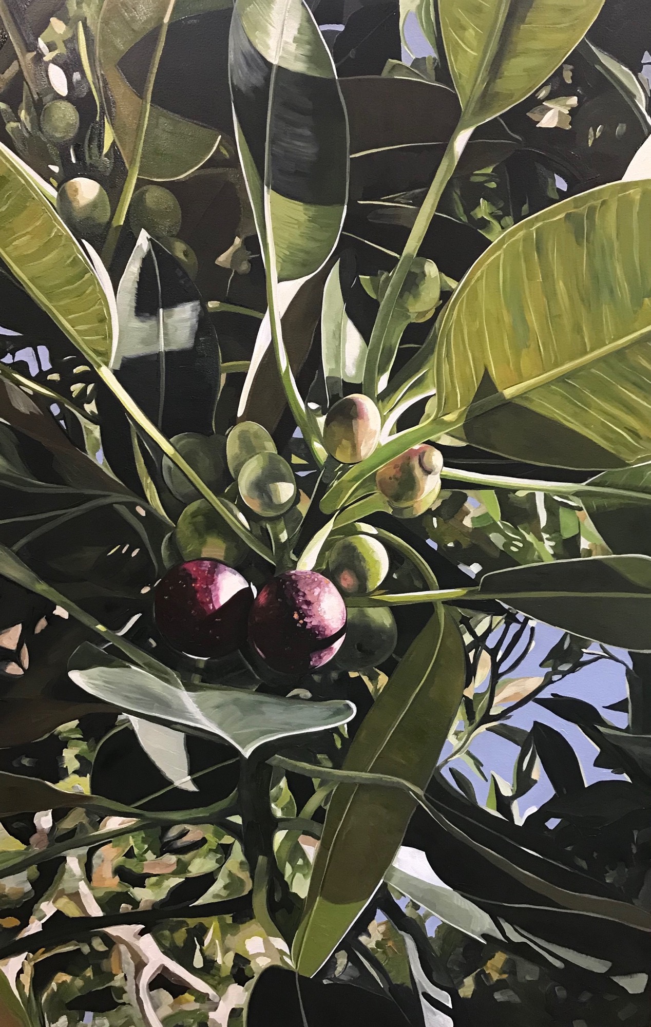 5th Iteration – 2023 – Adelaide Park Lands Art Prize